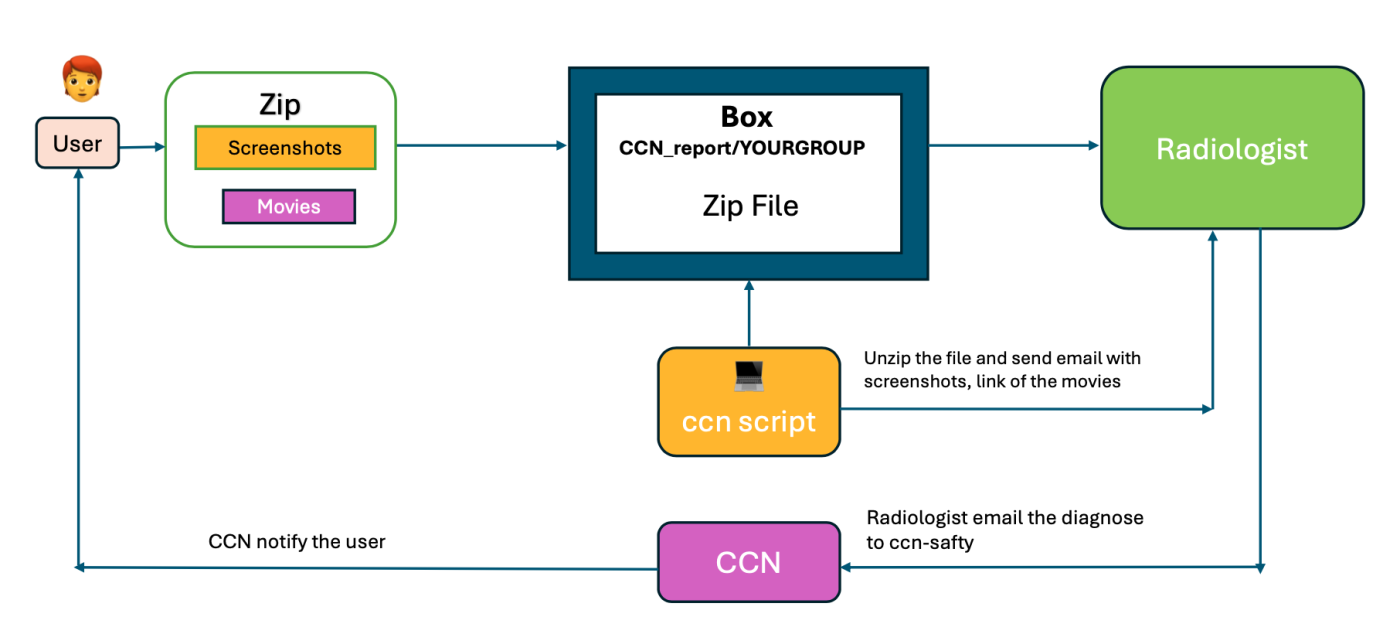 Incidental Finding Report Tool - Center for Cognitive Neuroscience